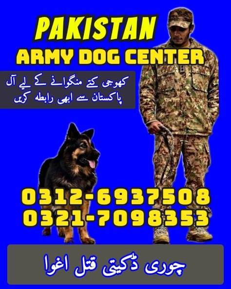 Army Dog Center Mir Pur Khas Trace Wide ® 03444023229 The trained ...