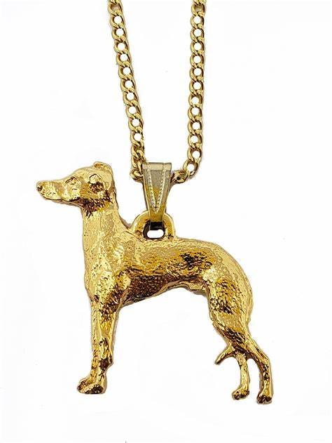 Greyhound Gold: The Fascinating World of Greyhound Racing | by NITISH ...