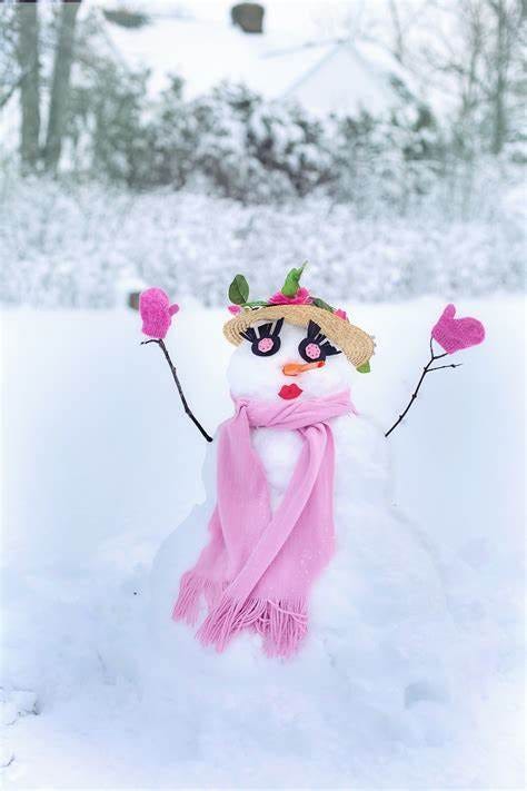 Erotic Snowmen. What, don’t you mean snowwomen? Well… | by Glenn M ...