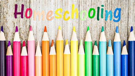 Homeschooling: The Parent Diary. I have been homeschooling my kids for ...