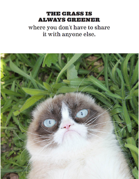 Grumpy Cat Coworkers