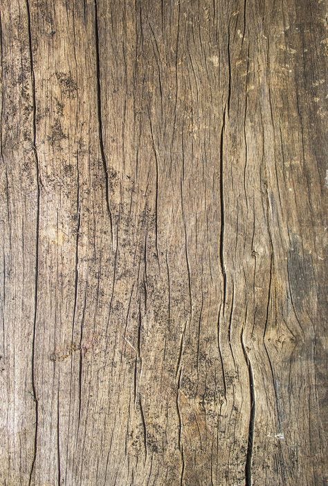 Embracing the Timeless Beauty of Wood: A Persuasive Journey | by ...