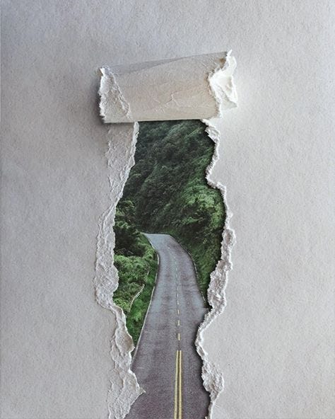 let life unfold. Let your life unfold. | by PT Tomov | Medium