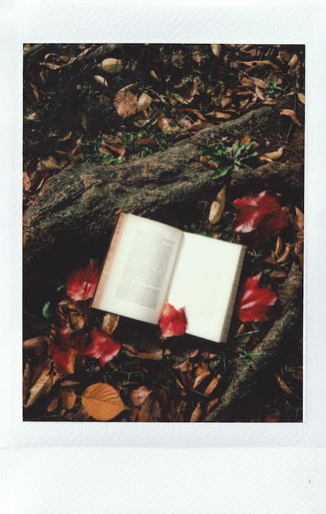 Short stories for the weekend. | Medium