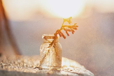 How to find youthfulness and joy again? | by Sache Bel | ILLUMINATION ...