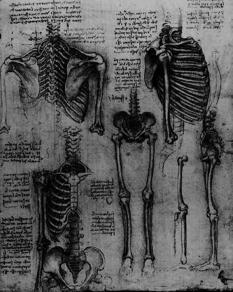 The Autopsy. A poem | by aliza garza | Dec, 2024 | Medium