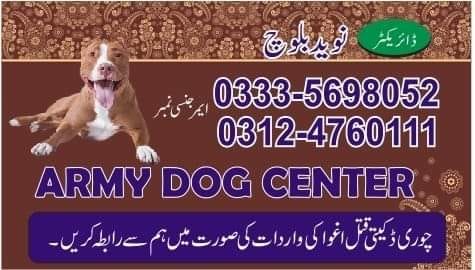 Army Dog Center Rawalpindi 03335698052 Army Dog Center Specialist in ...