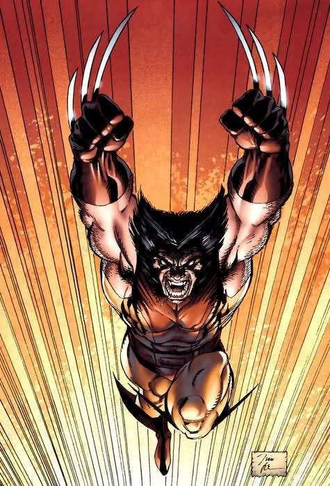 Wolverine: The Enduring Legacy of a Comic Book Anti-Hero | by Shamarie ...