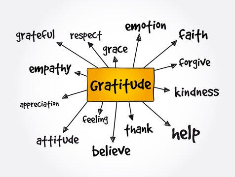 Being grateful for all experiences is a foundation for a happy life ...