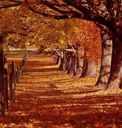 Is Climate Change Affecting Allergy Season? | by junoh kim | Oct, 2023 ...
