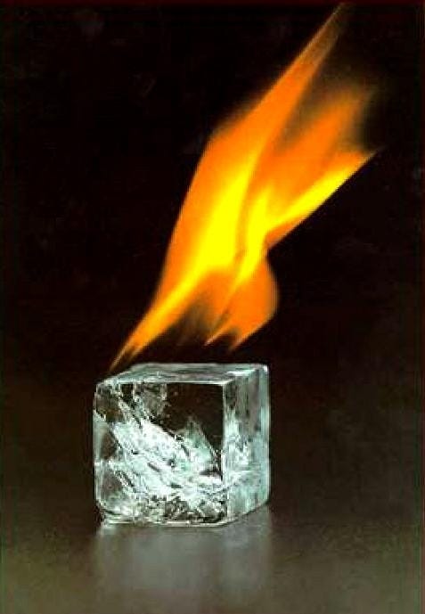 Freeze Frame. Élan Vital | by Mike Essig | The Junction | Medium
