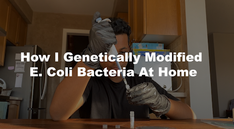 Genetically Modifying E. Coli Bacteria At Home | by Yameen Khurshid ...