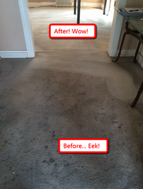 The Benefits of Having Your Carpets Cleaned | by carpet cleaning ...