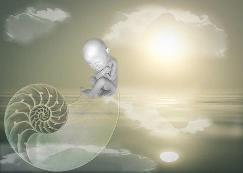 Reincarnation and Birth Defects. This is the latest in a series of ...