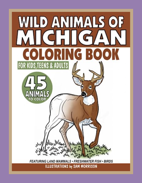 (SAM MOrrison) Wild Animals of Michigan Coloring Book for Kids, Teens ...