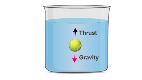 Archimedes Principle Fishing