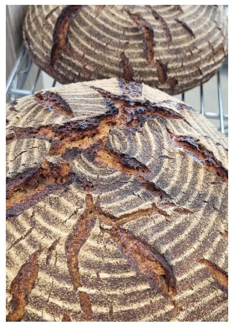 Bread that is good for the gut, the mind and the planet | by Catherine ...