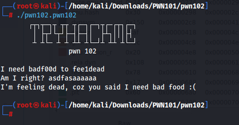 Pwn101_Challenge 2. Solution: | by Master H4CK3R | Medium