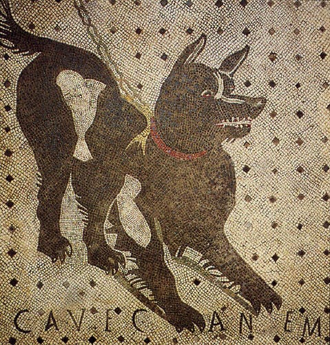 tl;dr: Pet Dogs and Veterinarians in Ancient Rome | by Patty Hamrick ...