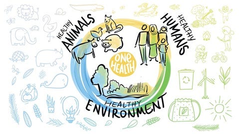 Cross-species vaccines and the One Health approach to vaccine ...