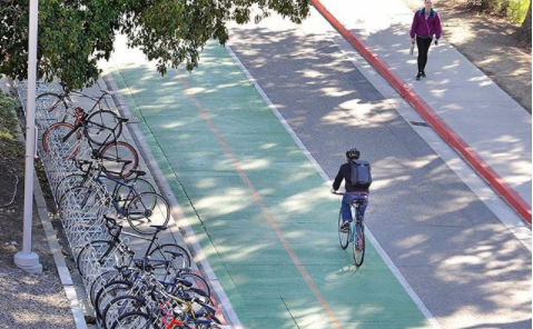 Living Green at Cal Poly.. Amidst the notifications, texting… | by Cal Poly Administration and ...