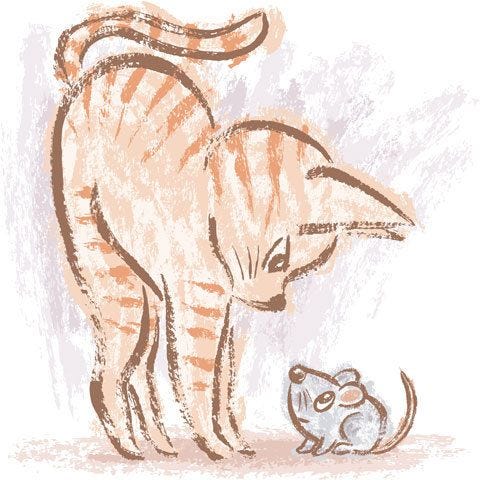 Fable Writing: The Kitten and the Mouse | by Emily Nguyen | Medium