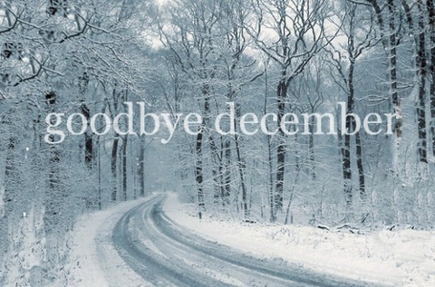 December 2023 Reading Recap. The last of the year. | by Uber Toque ...