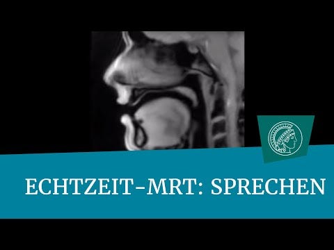 MRI (Magnetic Resonance Imaging) — Speaking German | by ...