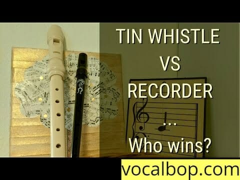 Recorders and whistles are two of the oldest instruments in human ...