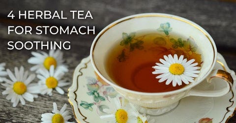4 Herbal Tea for Stomach Soothing | by Glesspena&Nevilife | Medium