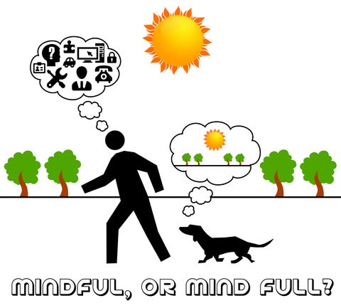 12 Ways You Can Be More Mindful In Just 24 Hours | by Larry Kim ...