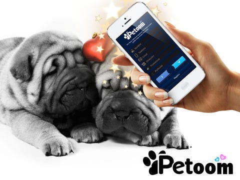 Onsen UI App Showcase: Find Pet Partners with Petoom | by Onsen UI ...