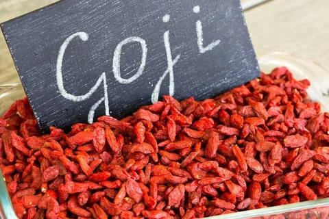 8 things you may not know about wolfberries | by Asutin L | Medium