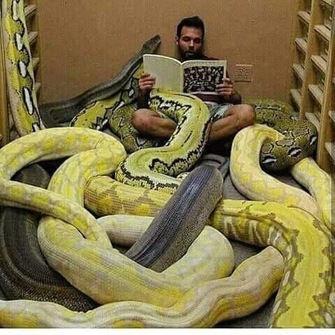 Persistence through Python .pth Files | by dfirloading | Sep, 2025 | Medium