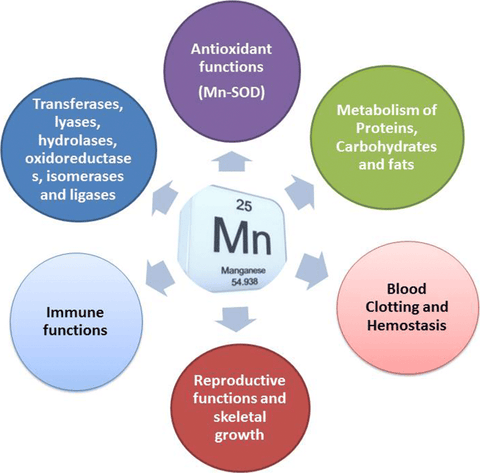 Are You Manganese Deficient?. Manganese isn’t spoken of enough when ...