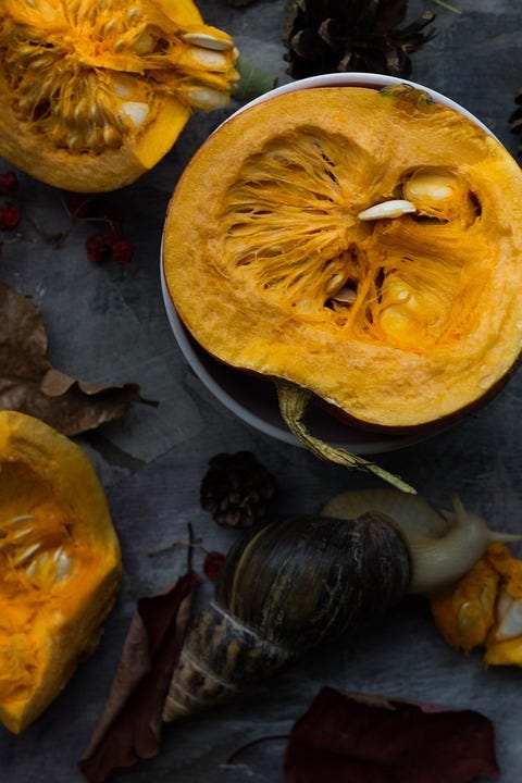 The Science Behind Cordyceps: How It Supports Brain Health | by ...