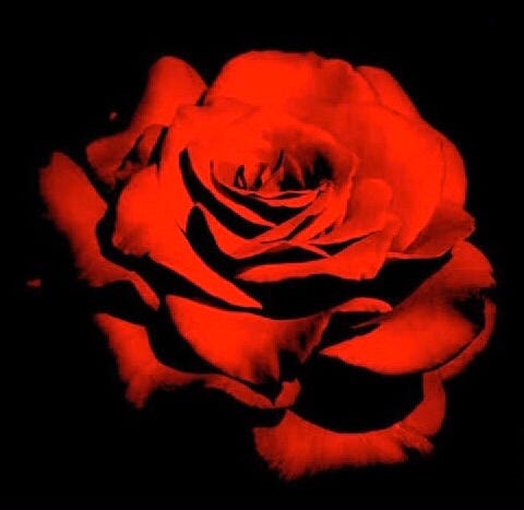 August the 12th. A blood red dress arrived at 9.00am and… | by Anne okolo | Medium