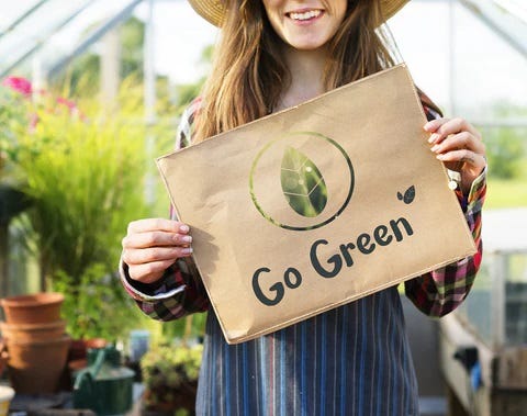 The Unexpected Joy of Going Green: How Sustainability Transformed My ...