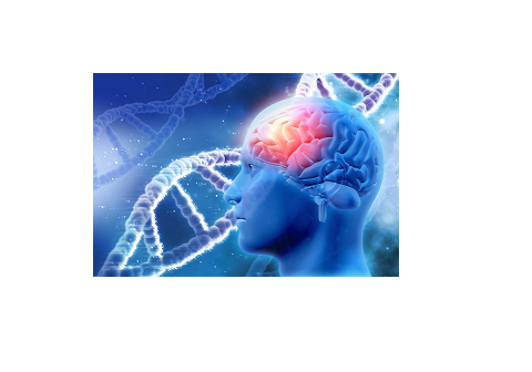 The Benefits of Microbiome Testing: How it Can Improve Your Health | by ...