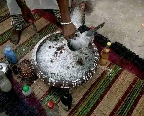 African traditional healer Dr Asuman+254715850365 | by Daktari wa ...