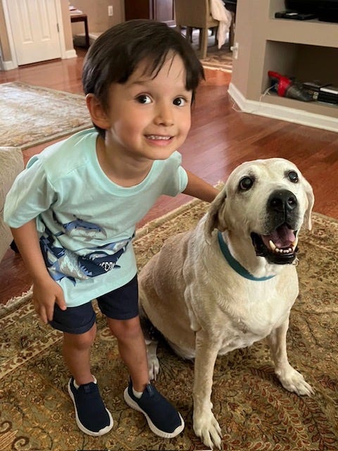 Harper-Boy Saves the Day, Woof!. Note: Another entry from the ...