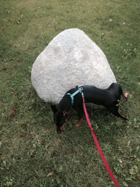 Pongo 2. My boulder haiku | by Wil Triggs | Medium