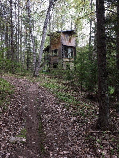 Ten Minutes With Carol Dunbar, a Ghostwriter Who Lives in the Woods ...