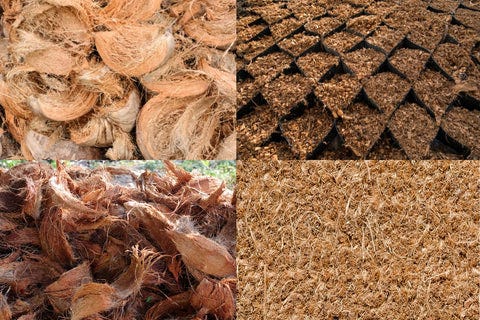 The Top 6 Benefits of Using Coconut Coir Mulch - Plantbest - Medium