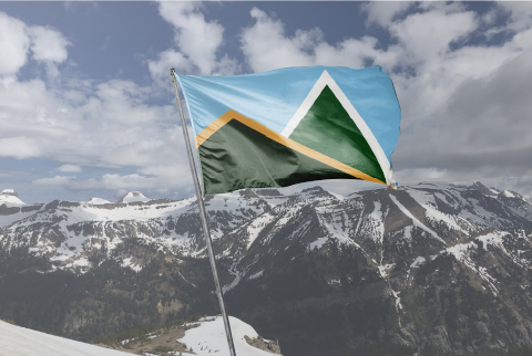 Flag Design GD201 Project 1. Pick a noun and design a flag for that ...
