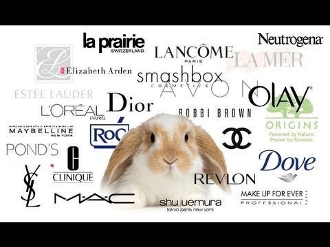 Companies without Morals: Meet the Mega Brands Who still Test on ...