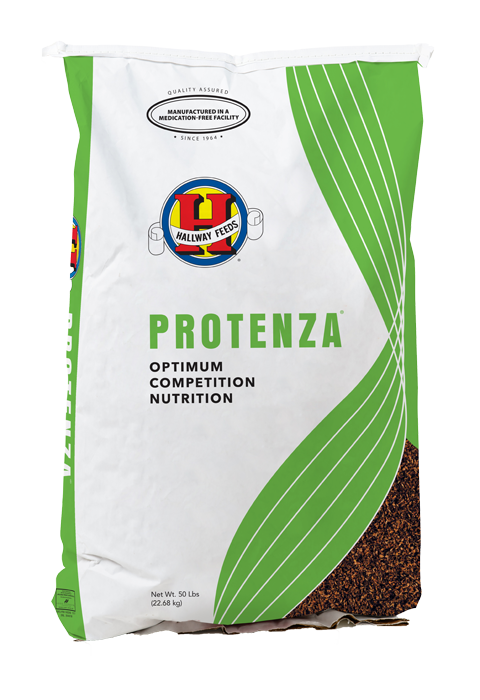 Best Food for Horses: The List. Taking care of the horse’s diet is the ...