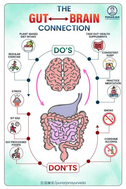 The Gut-Brain Connection: Unlocking the Secrets of Your Second Brain ...
