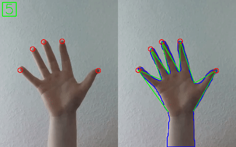 Simple Hand Gesture Recognition using OpenCV and JavaScript. | by ...