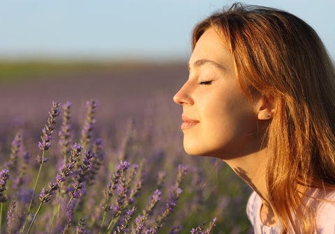 Fragrance and Memory: The Psychology of Scent | by Scarlett Jacob | Apr, 2024 | Medium